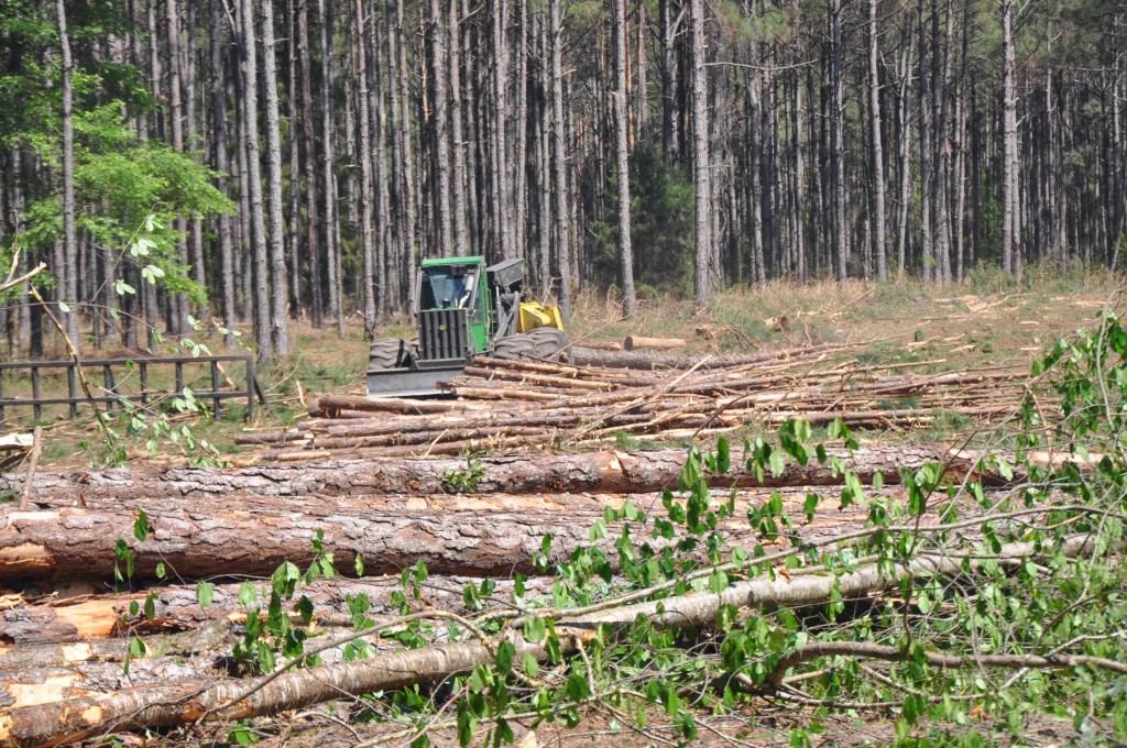 Photos – Gray Logging