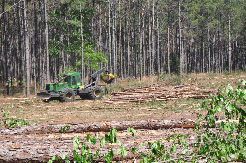 Photos – Gray Logging